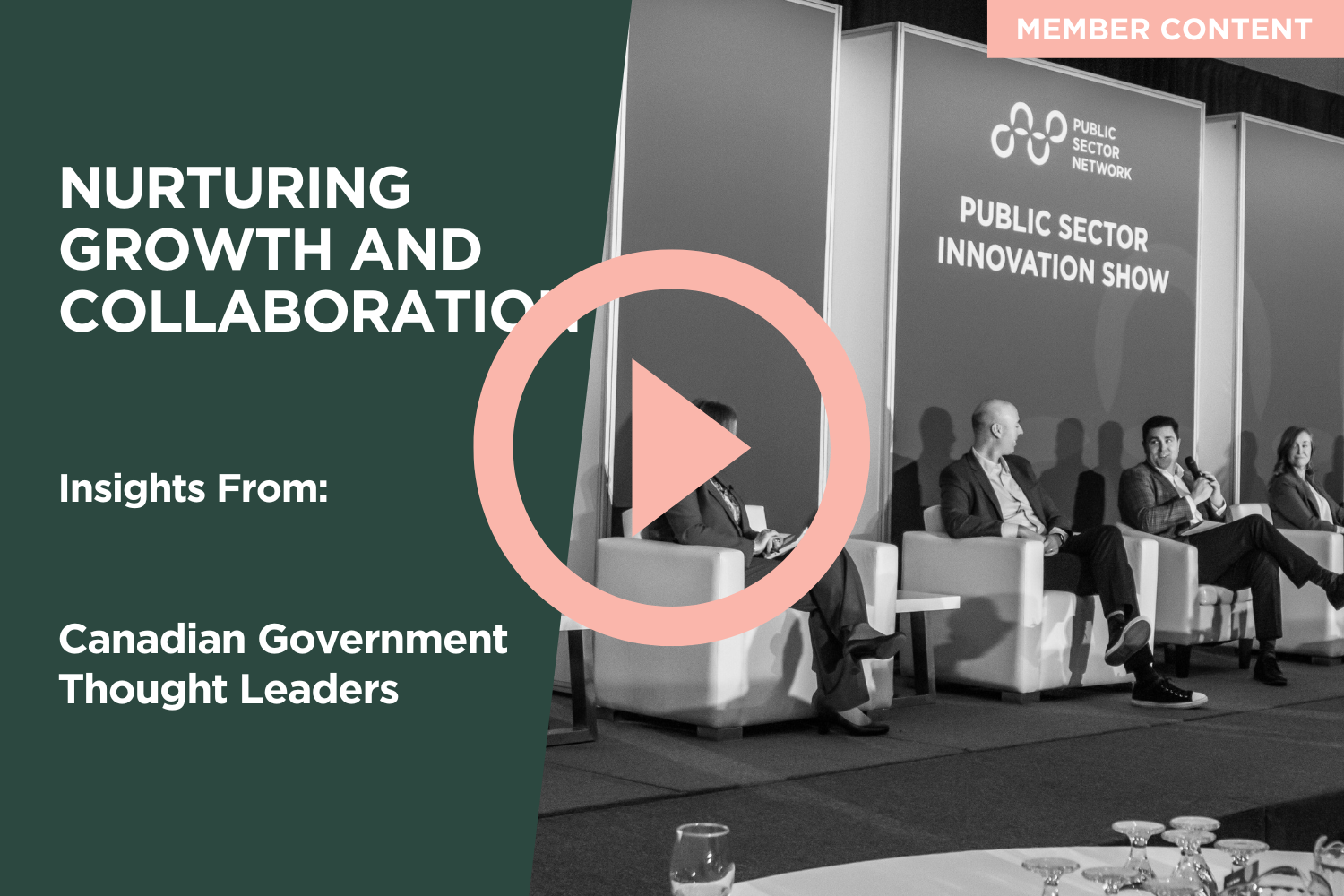The Innovation Ecosystem: Nurturing Growth & Collaboration - Insights | Public Sector Network
